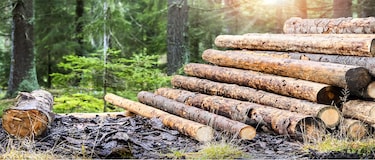 Debarking Logs - How to Debark Logs With a Pressure Washer